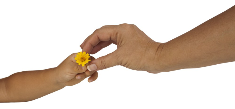 Making the Connection - Tools 4 Teaching
