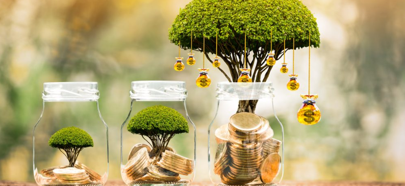 Money Doesn’t Grow on Trees - Tools 4 Teaching
